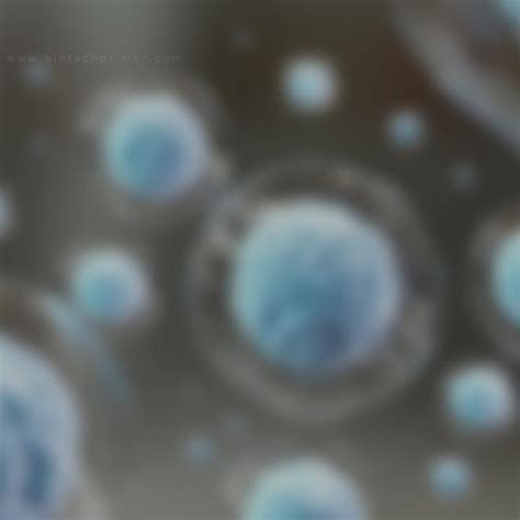 Biotech Primer On Linkedin Preclinical Development For Scientists Uses