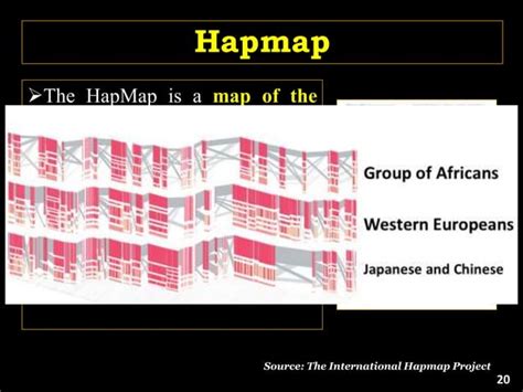 Haplotype Mapping And Its Application In Plant Breeding Pptx Genetics Science