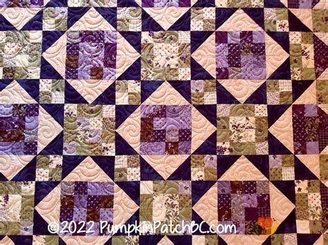 Violets Pumpkin Patch