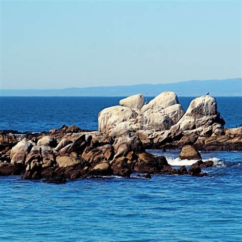 Day Trip To Santa Cruz From San Francisco Everything You Need To Know