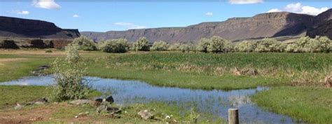 Wetlands Critical Areas And Land Use Planning Farallon Consulting