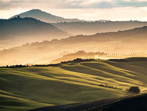 麦田与柏树图片素材 麦田与柏树设计素材 麦田与柏树摄影作品 麦田与柏树源文件下载 麦田与柏树图片素材下载 麦田与柏树背景素材 麦田与柏树模板下载 搜索中心