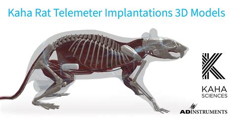 Kaha Rat Telemeter Implantations 3d Models Adinstruments