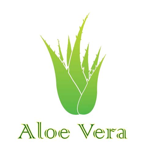 Premium Vector Aloe Vera Icon Logo Vector Design Template