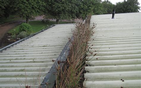 Before And After Gutter Force Ltd