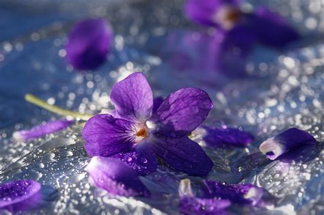 4000 Free End Slide And Slide Images Pixabay