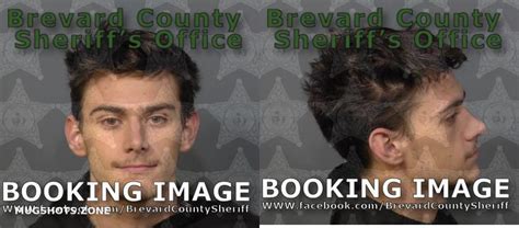Wingo Thomas Braydon 04142025 Brevard County Mugshots Zone