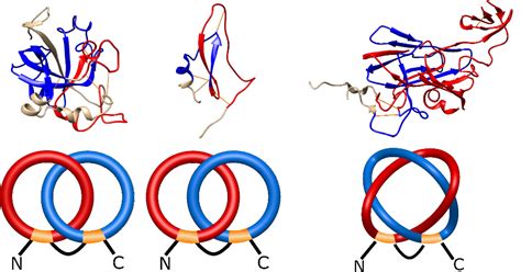 Linkprot A Database Of Proteins With Topological Links