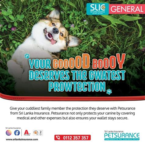 Amanda Perera On Linkedin 🤲