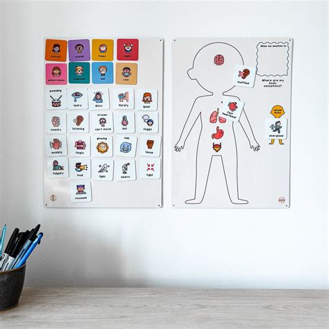 Body Sensations And Interoception Display Set Craftly Ltd