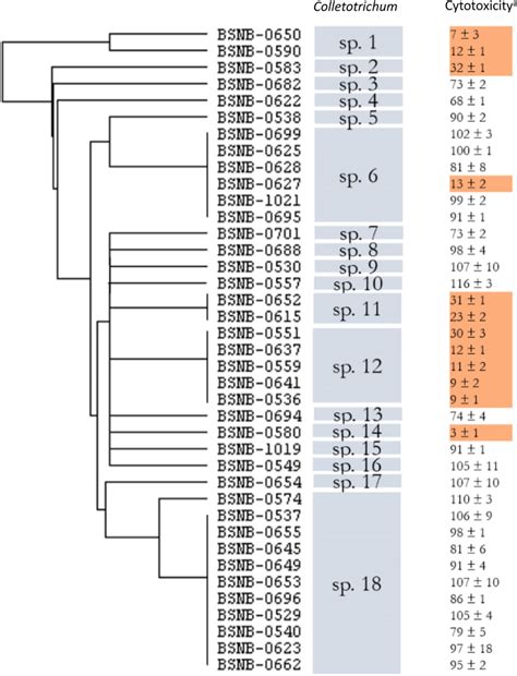 Evaluation Of The Correlation Between Mass Spectrometry Profile