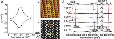 Probing Atomistic Structures In The Au 111 Pnba Solution Interface