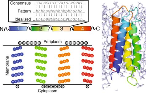 Integral Membrane Proteins