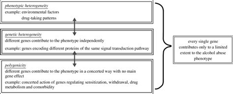 Relationship Between Phenotypic Heterogeneity Genetic Heterogeneity