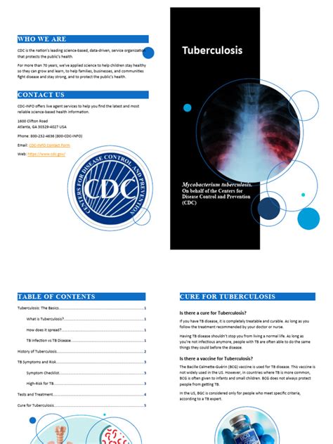Project 03 Pamplet Draft 02 Pdf Tuberculosis Infection