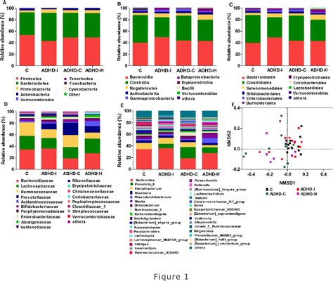 Figure 1 From Scfa Producing Bacteria Shape The Subtype Of Adhd In