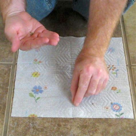 Seed Viability Test Fine Gardening