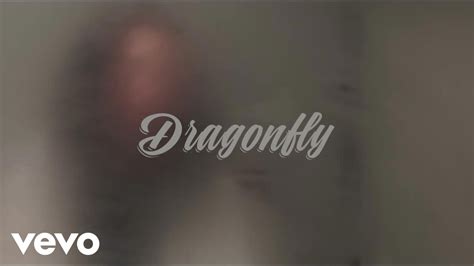 Aaron Chapple Dragonfly Official Music Video Youtube