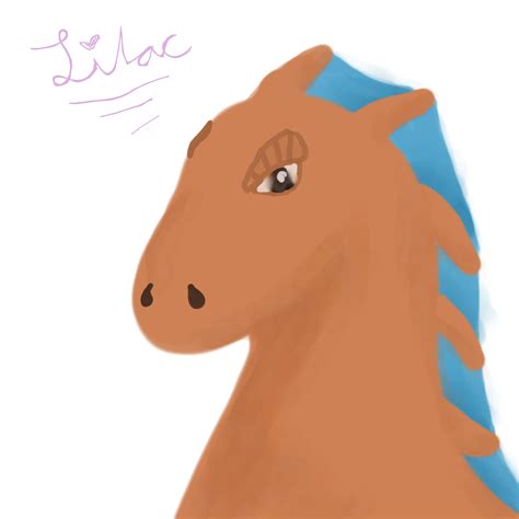 A New Charizard Album On Imgur