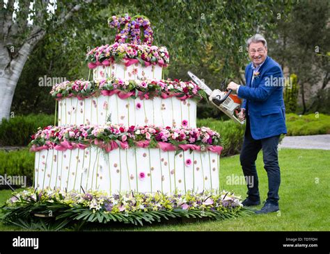 Top 999 Big Birthday Cake Images Amazing Collection Big Birthday