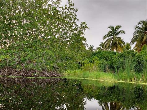 Servicios EcoturÍsticos De La Ventanilla 2025 All You Must Know Before You Go W Reviews