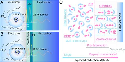 A And B Comparison Of The Kinetics Of Desolvation And Na Transport