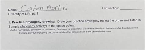 Solved 1 Practice Phylogeny Drawing Draw Your Practice