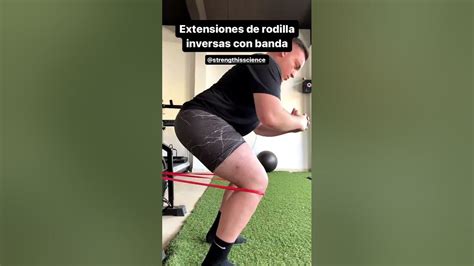 Extensiones De Rodilla Inversas Con Banda Youtube