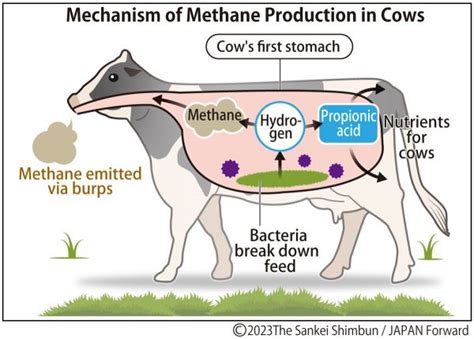 Do Newly Discovered Bacteria Hold The Key To Curbing Methane Emissions