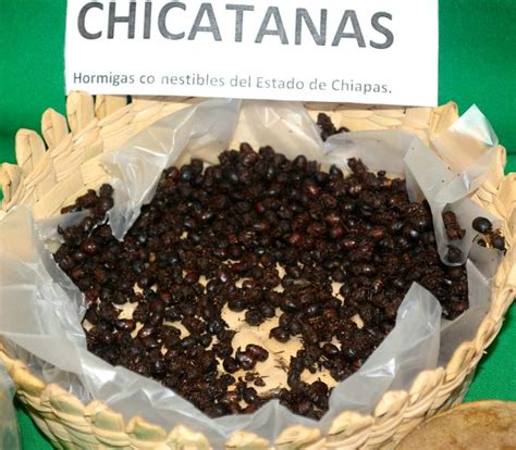 7 Weird Mexican Foods You Need To Try Because Theyre Actually Delicious