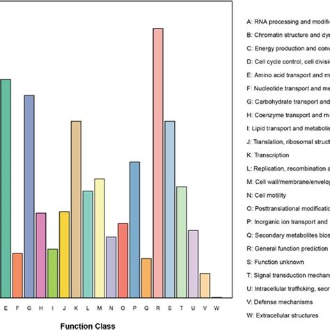 Cog Annotated Classification Chart Of Salmonella Wandsworth Download