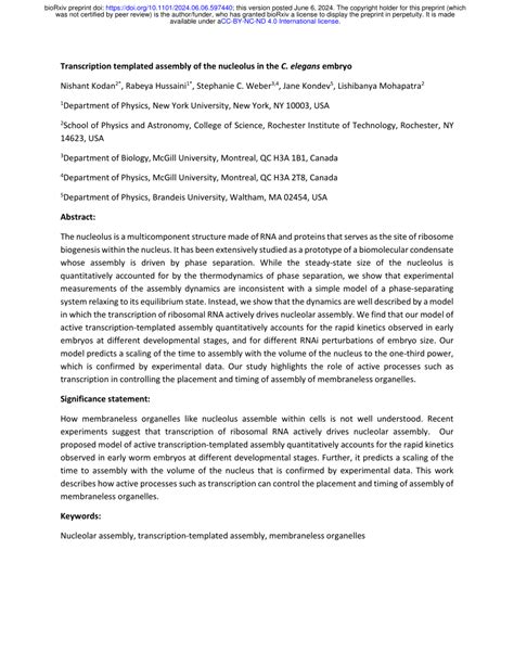 Pdf Transcription Templated Assembly Of The Nucleolus In The C