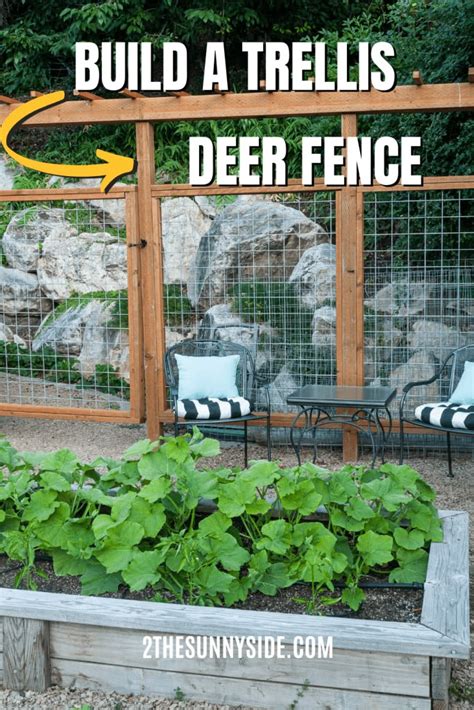 How To Make A Modern Deer Fence For Your Garden Sunny Side Design