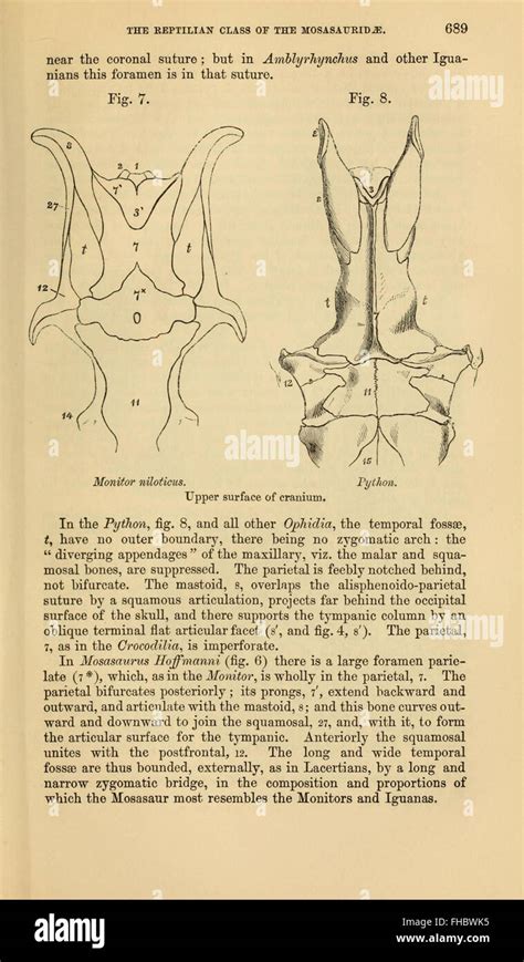 A Prestigious Geological Journal Publishing Key Research And Studies In
