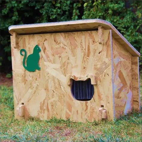 Cusca Pisica Exterior Personalizata Asamblare Rapida In 2 Minute