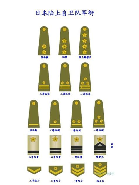 Japanese Military Ranksbaiduwiki