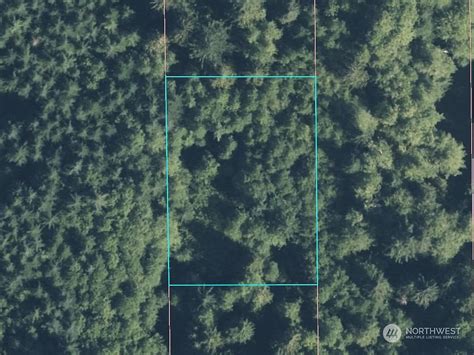 32 Xxx Manley Moore Road E Carbonado Wa 98323 Mls 2155845 Zillow