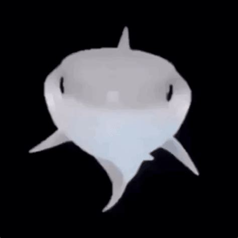 Cute Shark 
