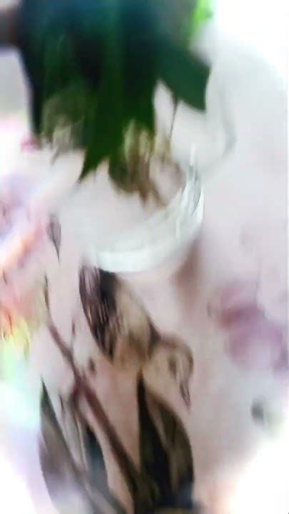 серень Youtube