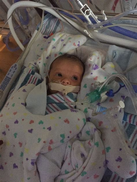 Click Here To Support Emily And Joseph Celis Recovery Fund By Emily