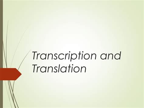 Dna Transcription And Translation Ppt