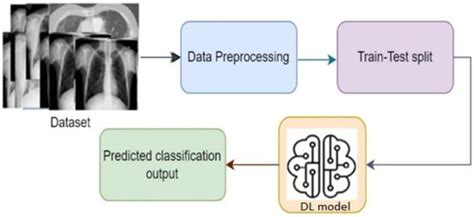 Diagnostics Free Full Text A Novel Deep Learning Based