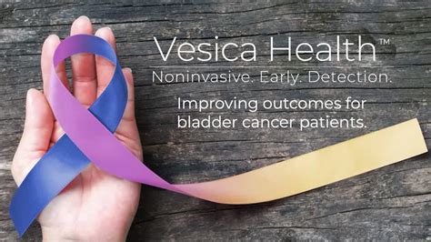 Press Release From Pr Newswire Christopher D Thibodeau