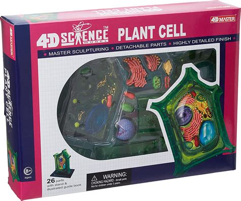 4d Science Plant Cell Model Anchor Academic Services