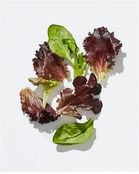 14 Types Of Lettuce And The Best Way To Use Them The Kitchn