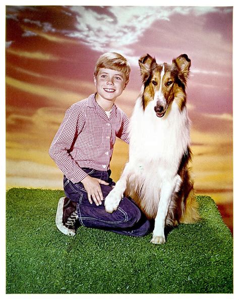 Jon Provost Aka Little Timmy From ‘lassie Celebrates His 72nd Birthday