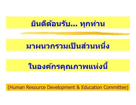 Learning Organization Pdf