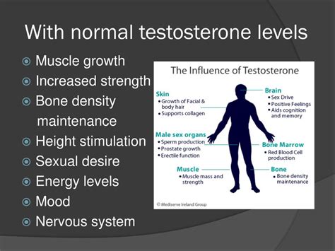 Ppt Testosterone Powerpoint Presentation Free Download Id3096315