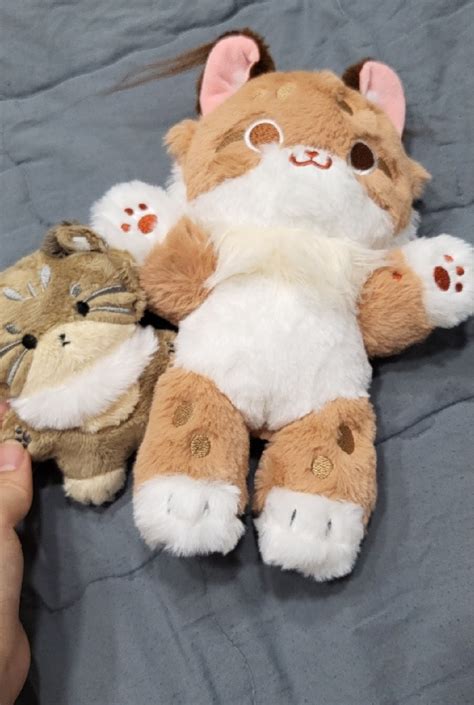 무속성인형 콜리colley