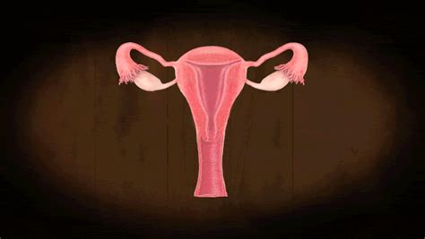 Animated Illustrations Insanity And Sexism On Behance